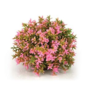 biorb 46088.0 flower ball pink aquariums