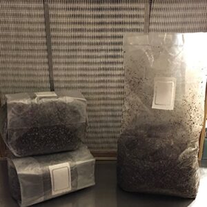 MycoHaus 10 Pounds Sterilized Compost Mushroom Substrate