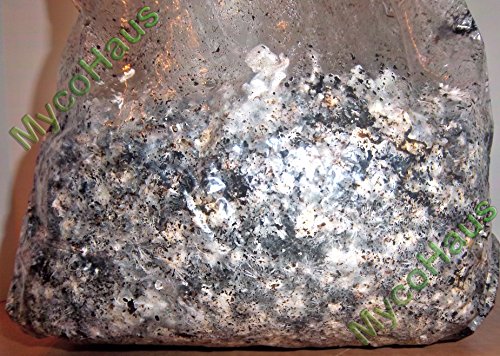 MycoHaus 10 Pounds Sterilized Compost Mushroom Substrate