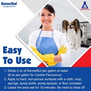 KennelSol 1-Step Kennel Cleaner - Liquid Concentrate Disinfectant and Deodorizer, Effective Against Bacteria and Viruses - 1 Gallon