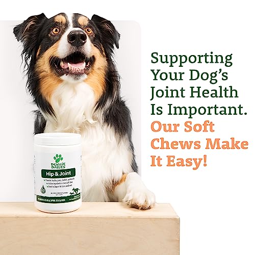 Doggie Dailies Glucosamine for Dogs – 225 Chews – Advanced Joint Supplement for Dogs with Chondroitin, MSM, Hyaluronic Acid & CoQ10 – Premium Dog Glucosamine (Chicken)