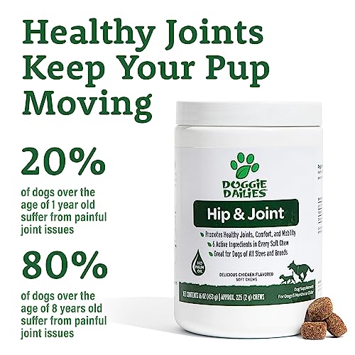 Doggie Dailies Glucosamine for Dogs – 225 Chews – Advanced Joint Supplement for Dogs with Chondroitin, MSM, Hyaluronic Acid & CoQ10 – Premium Dog Glucosamine (Chicken)