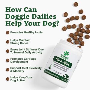 Doggie Dailies Glucosamine for Dogs – 225 Chews – Advanced Joint Supplement for Dogs with Chondroitin, MSM, Hyaluronic Acid & CoQ10 – Premium Dog Glucosamine (Chicken)