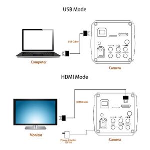 HAYEAR 14MP HDMI USB Industry Microscope Kit Camera Set Remote Control 100X C-Mount Lens Video Recorder 40 LED Ring Light