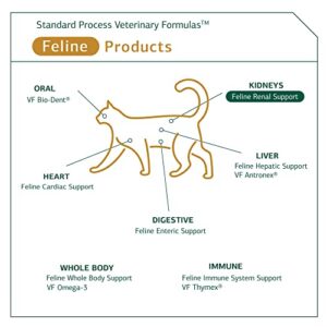 Standard Process - Feline Renal Support - Kidney and Urinary Health for Cats - 90 Tablets