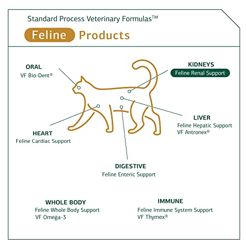 Standard Process - Feline Renal Support - Kidney and Urinary Health for Cats - 90 Tablets