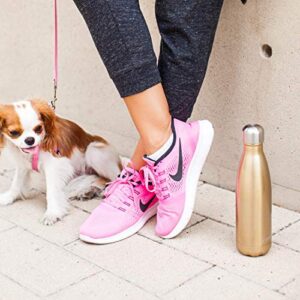 S'well Stainless Steel Bottle-17 Sparkling Champagne-Triple-Layered Vacuum-Insulated Containers Keeps Drinks Cold for 41 Hours and Hot for 18-with No Condensation-BPA Free Water, 17 fl oz