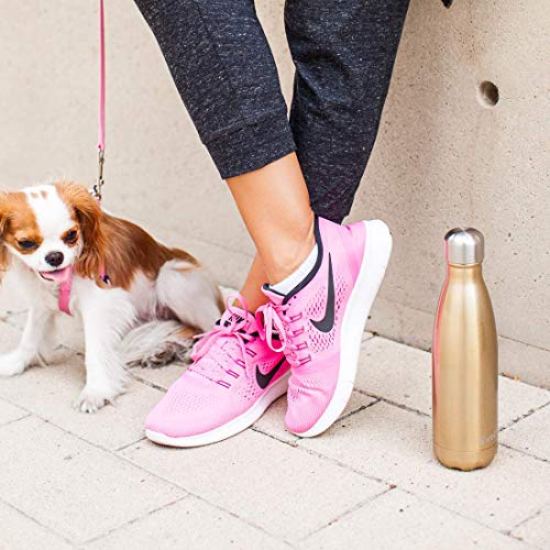 S'well Stainless Steel Bottle-17 Sparkling Champagne-Triple-Layered Vacuum-Insulated Containers Keeps Drinks Cold for 41 Hours and Hot for 18-with No Condensation-BPA Free Water, 17 fl oz