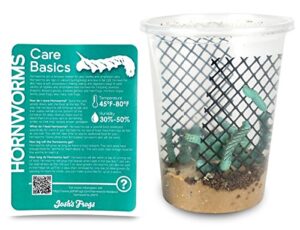 josh's frogs hornworms habitat cup (25 count cup)