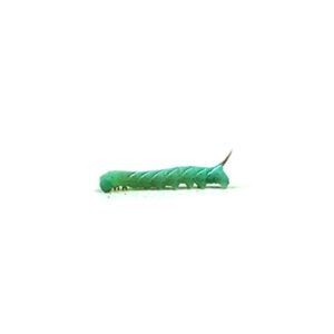 Josh's Frogs Hornworms Habitat Cup (25 Count Cup)