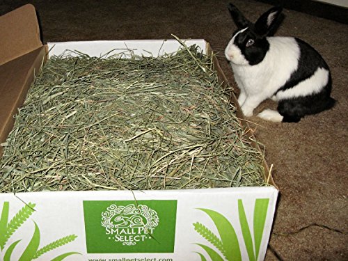 Small Pet Select 3rd Cutting "Super Soft" Timothy Hay Pet Food, 20 Lb.