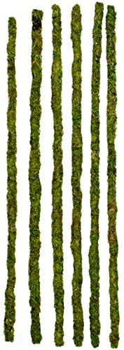 Galápagos (05322) Mossy Terrarium Sticks (6 Pack), 32"