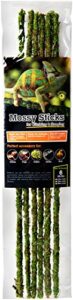 galápagos (05320) mossy terrarium sticks 18" (pack of 6)