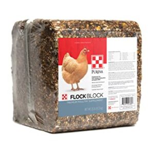 Purina Flock Block Supplement, 25 Pounds