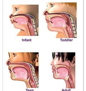 Child Swallowing Support Card