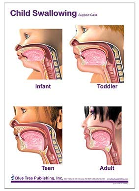 Child Swallowing Support Card