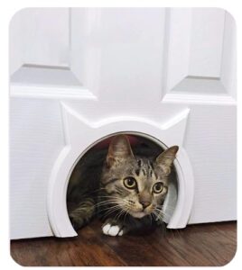 the kitty pass interior cat door hidden litter box pet door for cats up to 21 lbs pet box