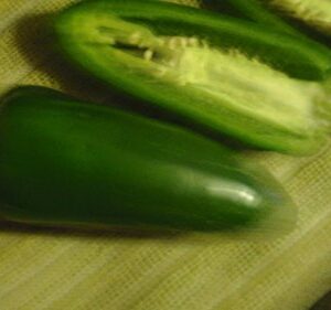 Giant Jalapeno Pepper Seeds Huge PODS Great Stuffers MILD (25 Seeds)