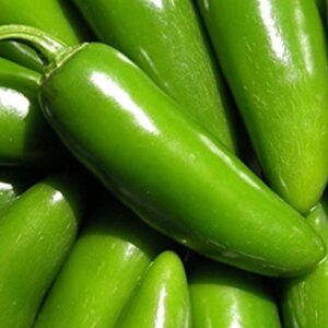 Giant Jalapeno Pepper Seeds Huge PODS Great Stuffers MILD (25 Seeds)