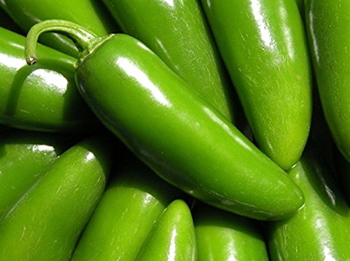 Giant Jalapeno Pepper Seeds Huge PODS Great Stuffers MILD (25 Seeds)