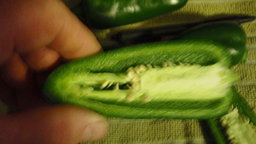 Giant Jalapeno Pepper Seeds Huge PODS Great Stuffers MILD (25 Seeds)