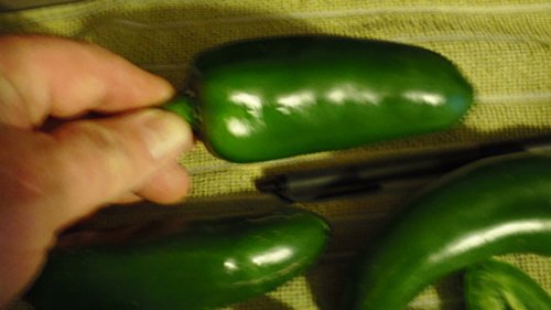 Giant Jalapeno Pepper Seeds Huge PODS Great Stuffers MILD (25 Seeds)