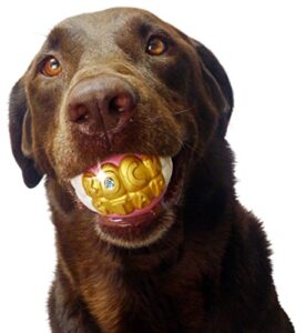 humunga bling rock star teeth shaped ball toy for medium and large dogs