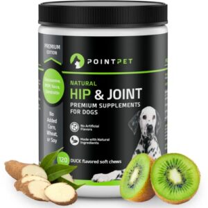 pointpet glucosamine for dogs - hip & joint supplement - dog mobility soft chews with chondroitin & msm - dog supplement with omega 3, vitamin c & e for hips and joints 120cnt