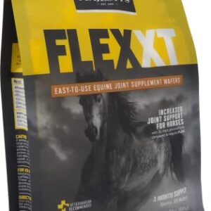 Majesty's Flex XT Wafers - Superior Horse / Equine Joint Support With Increased Supplement Levels - Glucosamine, MSM, Yucca, Vitamin C - 30 Count (1 Month Supply)