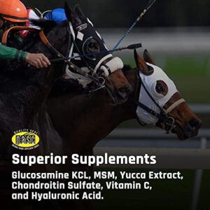 Majesty's Flex XT Wafers - Superior Horse / Equine Joint Support With Increased Supplement Levels - Glucosamine, MSM, Yucca, Vitamin C - 30 Count (1 Month Supply)