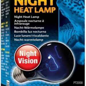 Exo-Terra Night Heat Lamp, 100 Watt