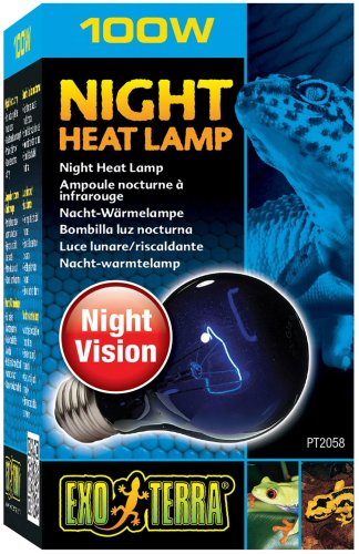 Exo-Terra Night Heat Lamp, 100 Watt