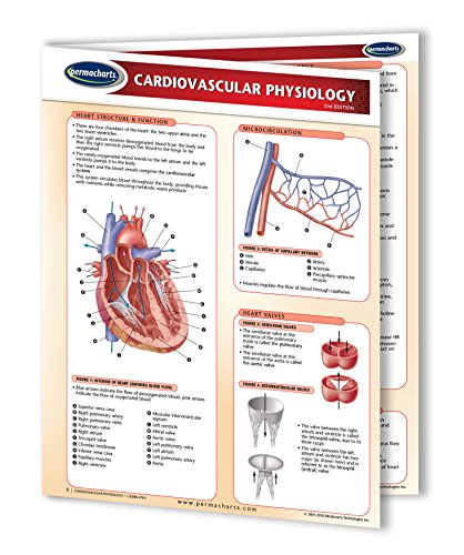 Cardiovascular Physiology - Biology - Medical Quick Reference Guide by Permacharts