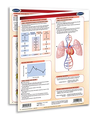 Cardiovascular Physiology - Biology - Medical Quick Reference Guide by Permacharts