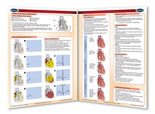 Cardiovascular Physiology - Biology - Medical Quick Reference Guide by Permacharts