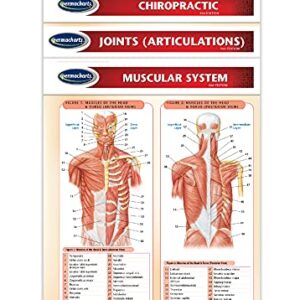 Chiropractic Medicine Guides - 4 Chart Bundle - Medical Quick Reference Guides by Permacharts