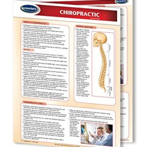 Chiropractic Medicine Guides - 4 Chart Bundle - Medical Quick Reference Guides by Permacharts