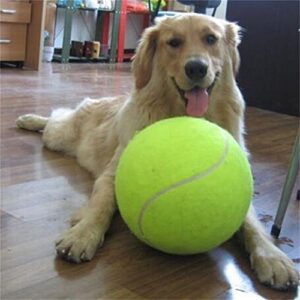 Banfeng Giant Tennis Ball 9.5" Signature Big Tennis Ball for Children Adult Dog