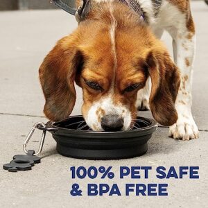 Bonza Large Collapsible Dog Bowl 1000 mL, Sturdy Reinforced Rim, Includes Carabiner & Water Bottle Holder Keychain