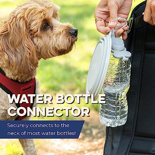 Bonza Large Collapsible Dog Bowl 1000 mL, Sturdy Reinforced Rim, Includes Carabiner & Water Bottle Holder Keychain