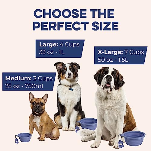 Bonza Large Collapsible Dog Bowl 1000 mL, Sturdy Reinforced Rim, Includes Carabiner & Water Bottle Holder Keychain