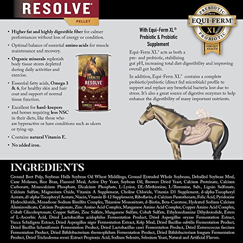 Kalmbach Feeds Tribute Resolve Food for Horses, 50 lb