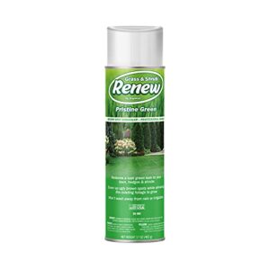 seymour 20-602 grass and shrub renew spray paint, pristine green (17 oz.)