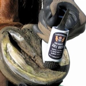 EVO Hoof Care Bar and Sole Rasp-1 'Original'