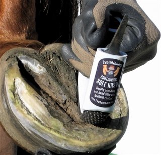 EVO Hoof Care Bar and Sole Rasp-1 'Original'