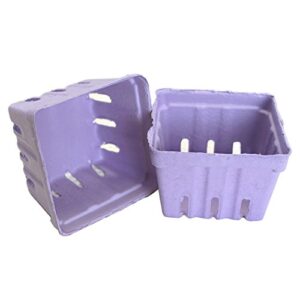 pastel colors berry basket- 10 count (purple)