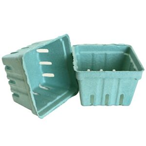 Pastel Colors Berry Basket- 10 Count (Green)