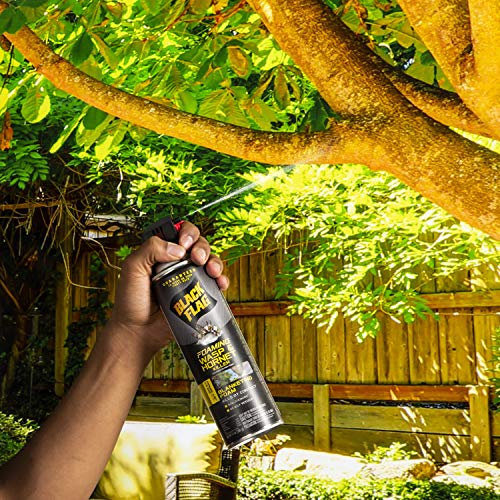 Black Flag Foaming Wasp & Hornet Killer, Kills Wasps and Hornets Nests By Contact, 14 Ounce (Aerosol Spray)