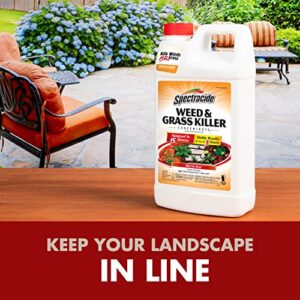 Spectracide Weed & Grass Killer Concentrate, Use On Driveways, Walkways and Around Trees & Flower Beds, 64 fl Ounce