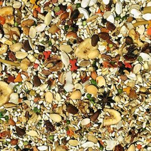 Volkman Avian Science Super African Grey Parrots Bird Food for 4 Lb- 2pack